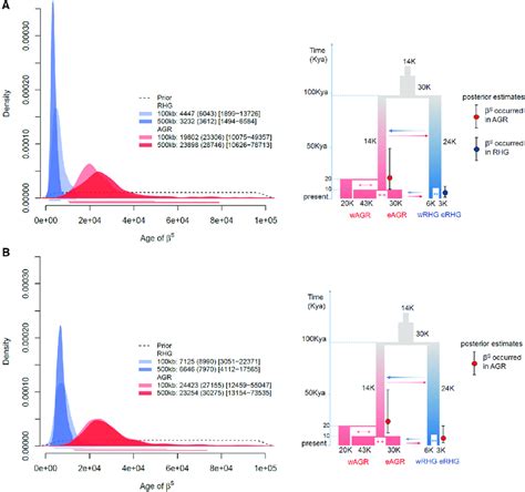 ABC Estimations Of The Age Of The B S Mutation Note That The Error Bars Download Scientific