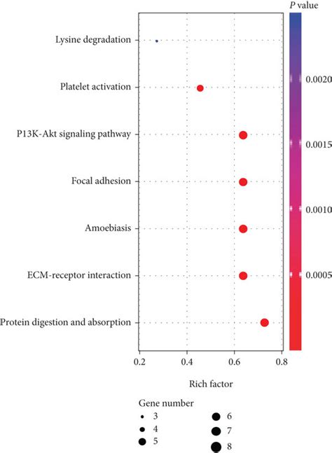 A Protein Protein Interaction Network Construction Using Plod2 And
