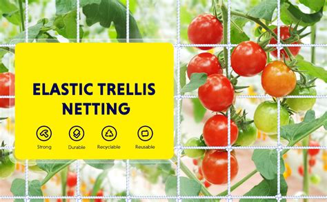 Amazon Com Simple Deluxe Elastic Trellis Netting For 4x4 Heavy Duty Elastic Plant With Hooks