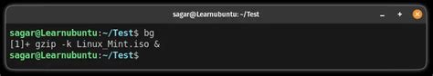 How To Run Ubuntu Commands In The Background
