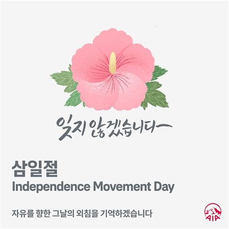 Aia 🇰🇷오늘은 3월 1일 삼일절입니다 나라를 위해 희생한 모든 분들께 깊은 감사와 존경을 전합니다 자유를 위해 헌신하신 분들의 용기와 희생을 잊지 않고 기억하며