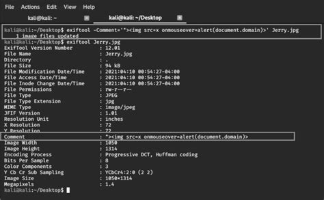 malicious code insertion in comment tag using exiftool download