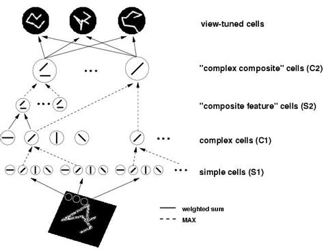 The Standard Hmax Model Download Scientific Diagram