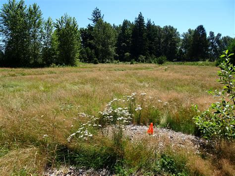 Alice Eleanor Eastlake Chew 1917 2018 Find A Grave Memorial