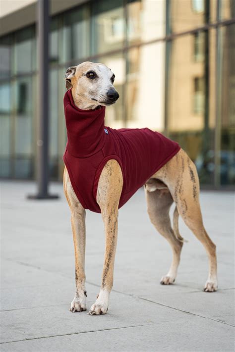 Sewing Pattern Whippet Coat At Alan Burke Blog