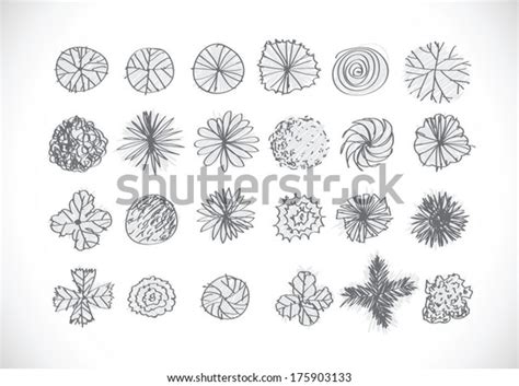 Trees Top View Architecture Landscape Design Stock Vector Royalty Free Shutterstock