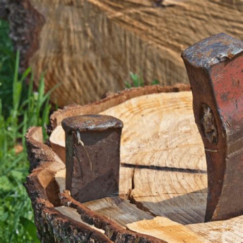 15 Types Of Tree Cutting Tools For Pruning Felling And Wood