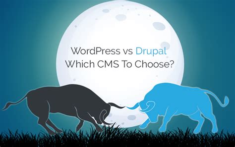 Wordpress Vs Drupal Which Cms To Choose Sitetitle