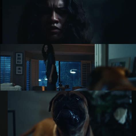 At This Moment She Knew She F Cked Up… 😅🤣 R Euphoria