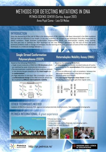 Methods For Detecting Mutations In Dna Pdf