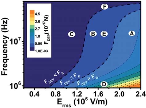 Contour Plot Showing The Magnitude Of Dielectrophoretic Force Acting On