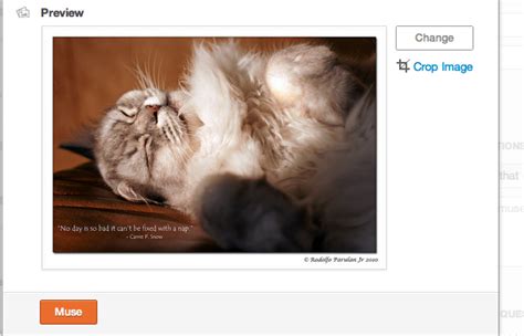 Jquery How To Display Cropped Region Of Image Created Via Jcrop