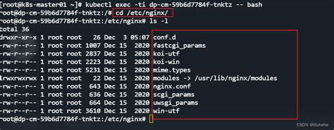 第8章 K8s基础篇 配置管理 Kubectl Create Cm Csdn博客
