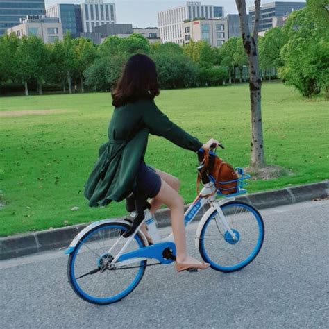 Yao Zhang Fudan University Shanghai Department Of Environmental Science And Engineering