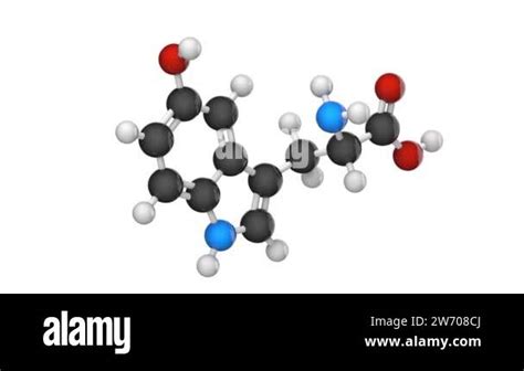 Hydroxytryptophan Chemical Structure Precursor Of Serotonin And Metabolic Intermediate Of