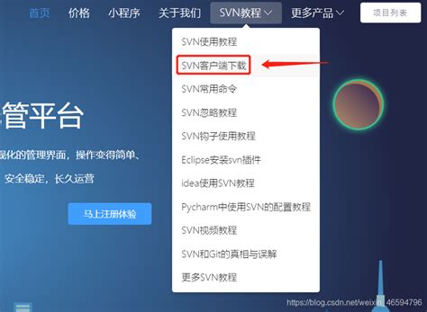 【图文详解】入职必备——svn使用教程 公司新人svn使用教程 csdn博客