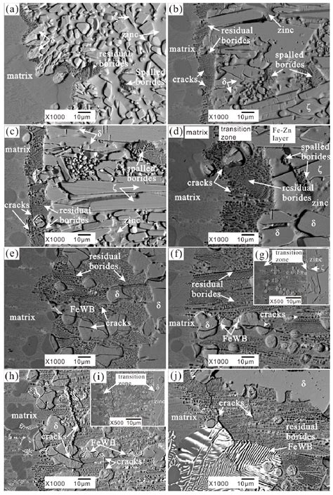 Effects Of Tungsten Addition On The Microstructure And Corrosion Resistance Of Fe 3 5b Alloy In