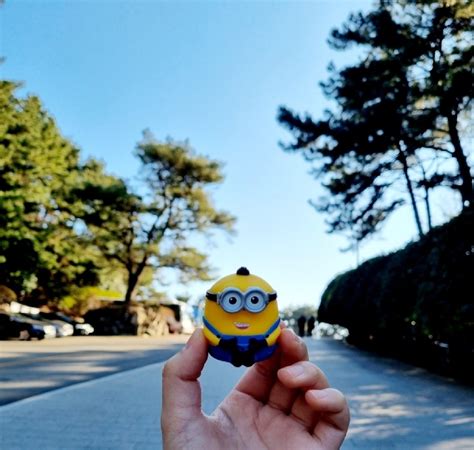 오토랑 열차타고 바다구경 볼수록 매력있는 볼매 ️ 삐죽거리는 머리숱 너무 귀여워 콜리colley