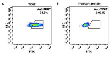 Anti Tigit Etigilimab Biosimilar Mab 专注肿瘤免疫