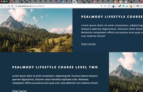 Login Redirect · Issue 2174 · Directusdirectus · Github