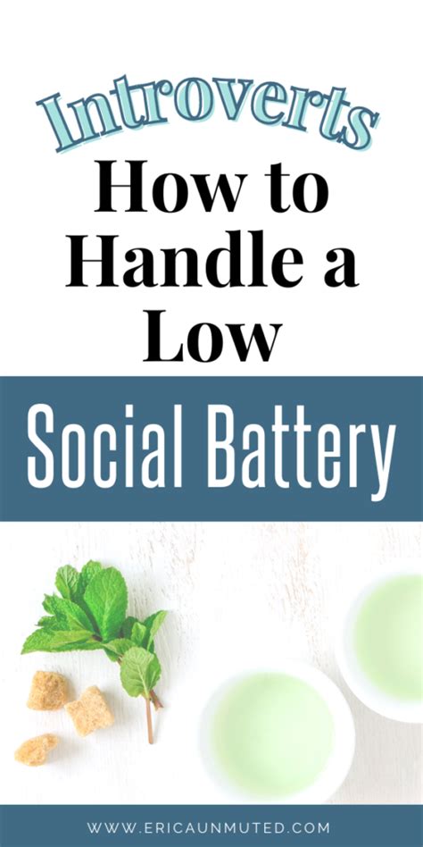 How To Handle A Low Introvert Social Battery Erica Unmuted