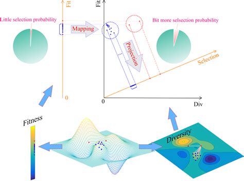 Selection Strategy Comparison Between The Traditional Genetic Algorithm