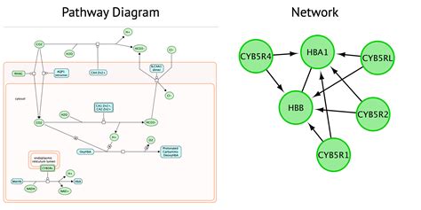 Module 4 Lab Reactomefi Pathway And Network Analysis Of Omics Data