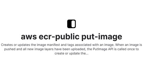 Aws Ecr Public Put Image Fig