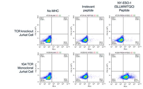 Custom Mhc Complex Service Monomers And Tetramers Kactus