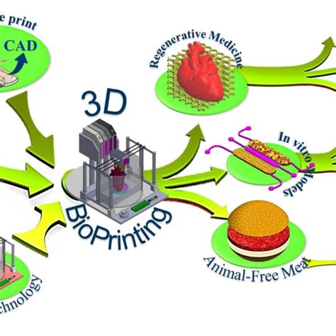 Mohammed Zourob Professor Phd Alfaisal University Riyadh