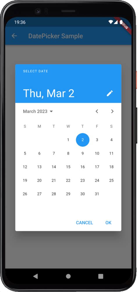 Flutterカレンダーから日付を入力できるようにする方法 ヒヨコ プログラミングヒヨプロ