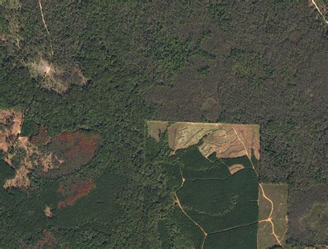 Forests And Sustainable Land Use Satellite Imagery And Monitoring