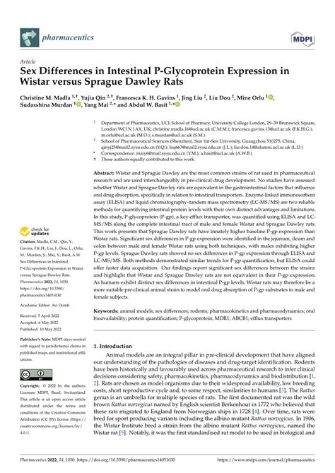 Pdf Sex Differences In Intestinal P Glycoprotein Expression In Wistar Versus Sprague Dawley Rats