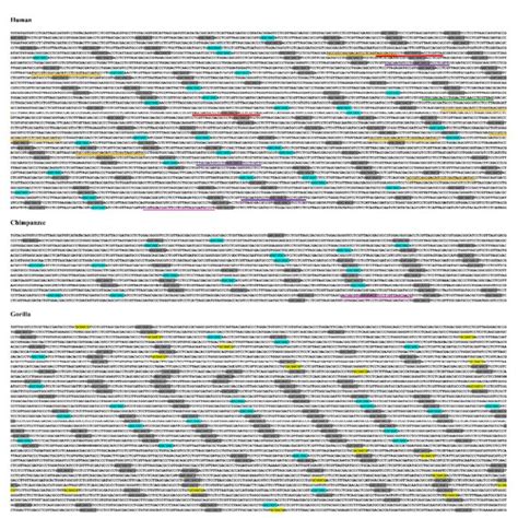 The Largest Two Repeat Unit Colony In Human C266 And The