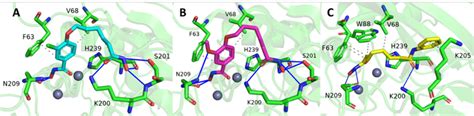 Autodock Binding Conformations Selected For Dynamics A Compound 4 In