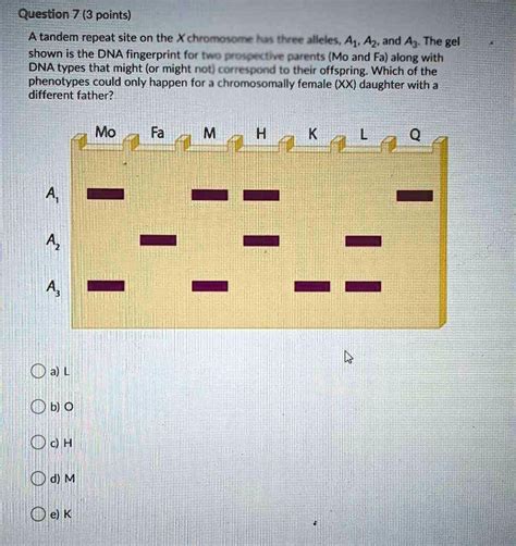[get Answer] Question 7 3 Points A Tandem Repeat Site On The X Chromosome Has Three Alleles