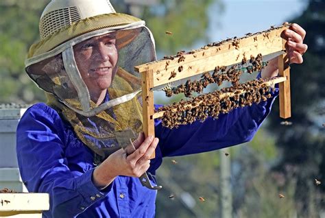 Plan Bee Genetics Program Rolls On