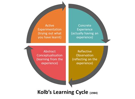 Kolbs Learning Cycle Switch Education For Business