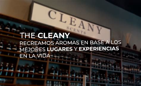 The Cleany