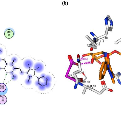 A 2d Binding Interaction And B 3d Brown Stick Binding Mode Of Cs Apc