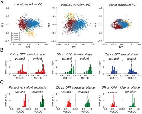Decomposition Reveals Systematic Differences Across Cell Types A Download Scientific Diagram