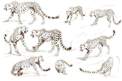 Premium Photo A Series Of Sketches Depicting The Graceful Poses