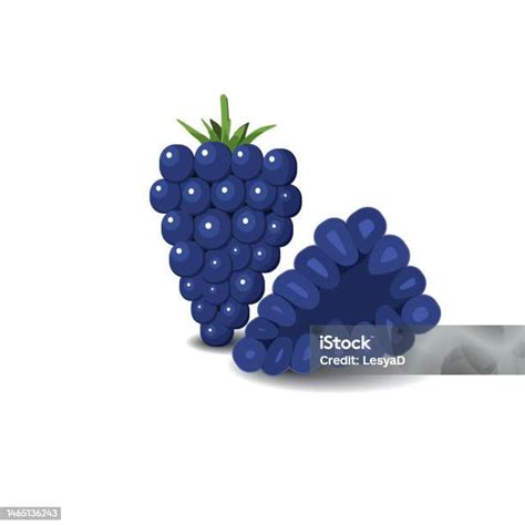 블랙 베리 만화 과일입니다 비건 유기농 에코 제품 벡터 일러스트 레이 션 0명에 대한 스톡 벡터 아트 및 기타 이미지 0명 감귤류 과일 개체 그룹 Istock