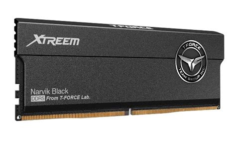 5 Meilleurs Kits De Ram Ddr5 à Acheter ‣ Pc Et Cie
