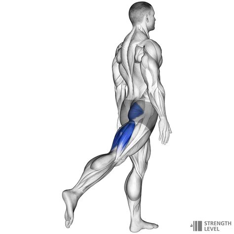 Common Hip Extensor Issues How To Make Sure They Are No Longer In Your Life