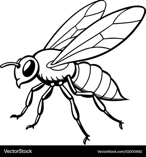 Cicada Killer Wasp Bug Walks Icon Royalty Free Vector Image