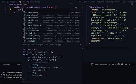 在vs code中设置带有快速输入 输出和代码片段的java竞技编程环境 极客笔记