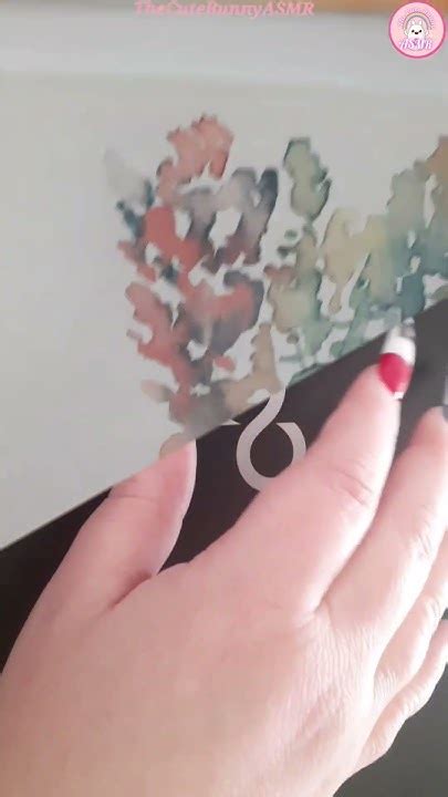 asmr split screen youtube