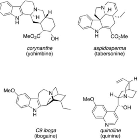 Pdf Chapter One Terpene Indole Alkaloid Biosynthesis