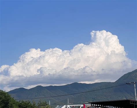 직사광선 네이버 블로그